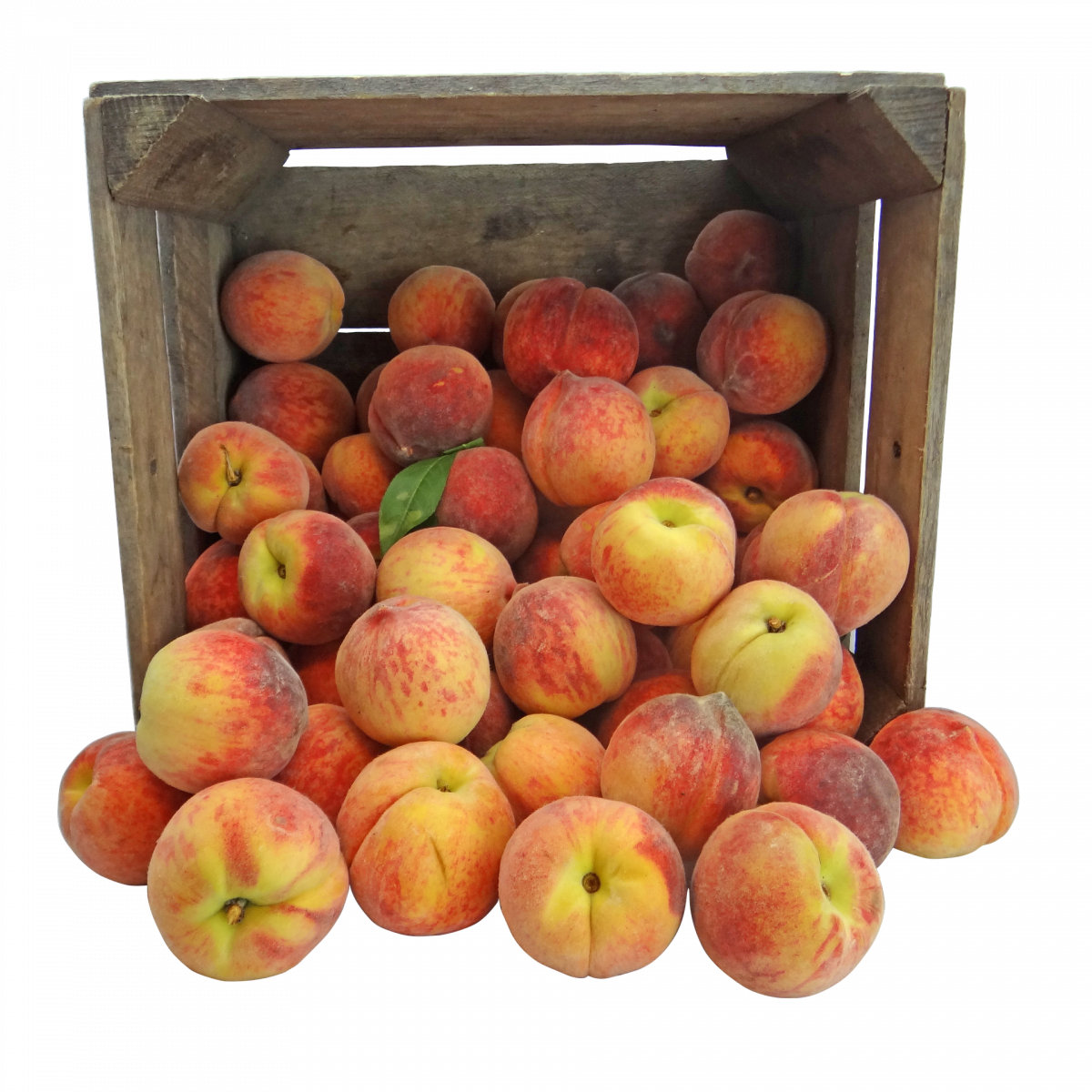 Pick Your Own Peach Farms Around Jersey City - Things to do in Jersey ...
