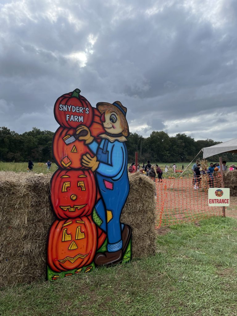 Top 12 Pumpkin Patches Near Jersey City