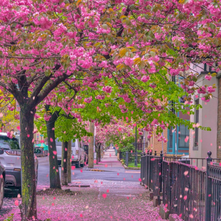 Spring Activities in Jersey City | JCFamilies - Things to do in Jersey City
